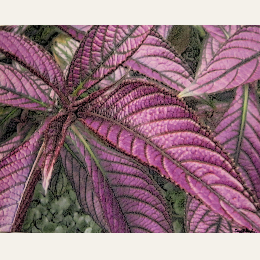 Art Dash - a fundraising event to benefit the Franciscan Spirituality ...